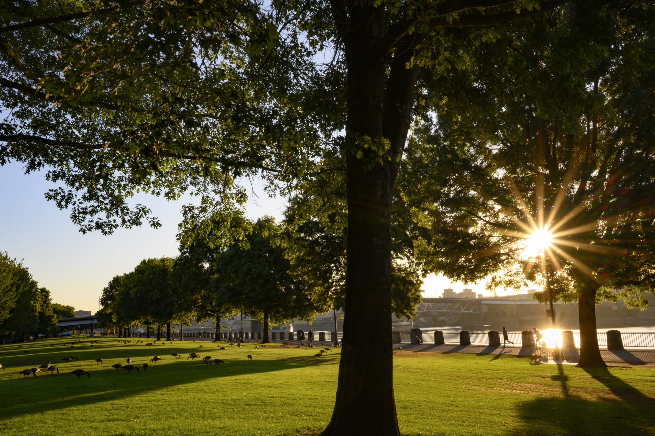 Tom Mccall Waterfront Park