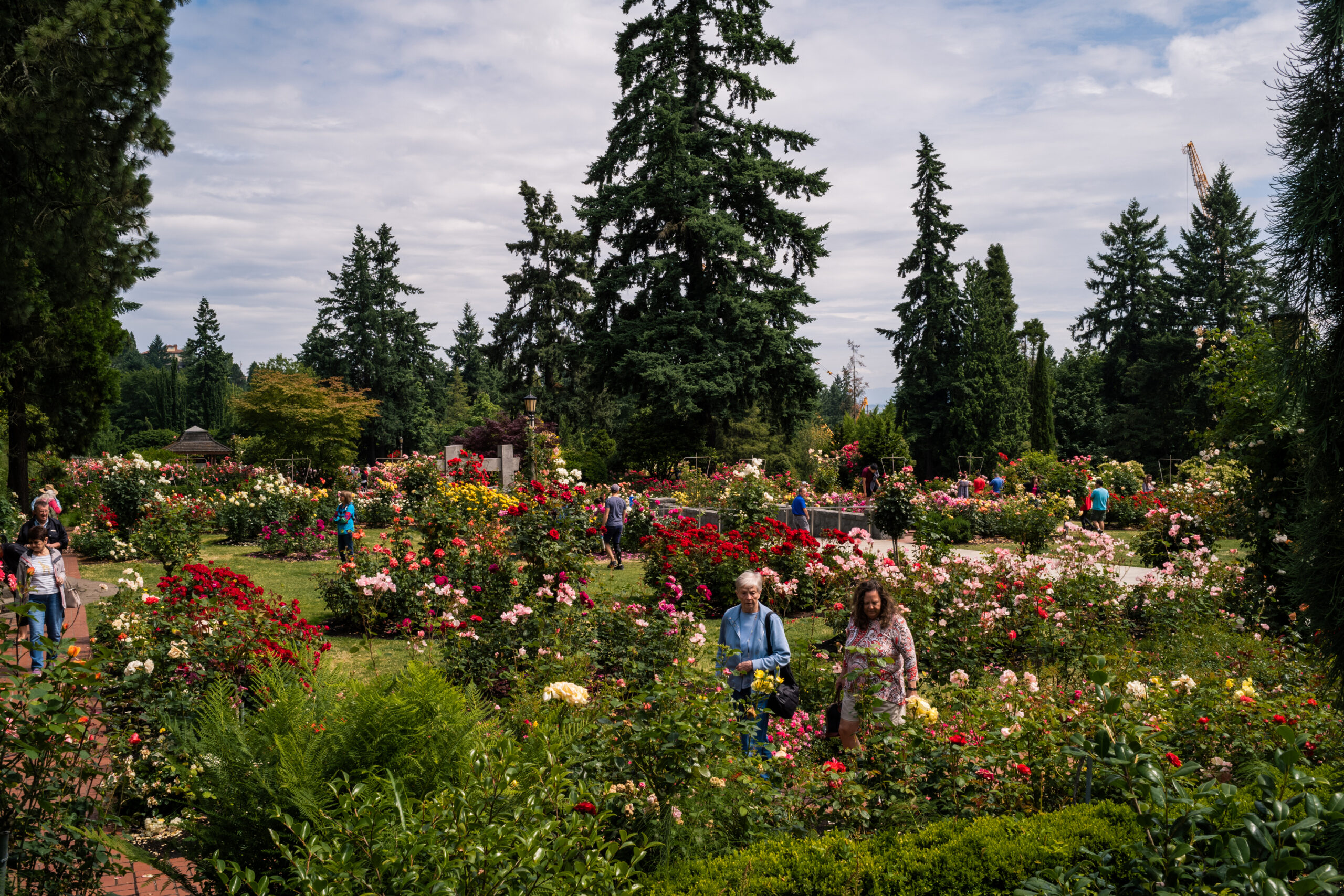 Washington Park Rose Garden Portland Garden Trail: A Short Hike To