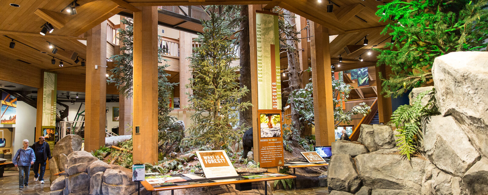 World Forestry Center Discovery Museum | The Official Guide to Portland