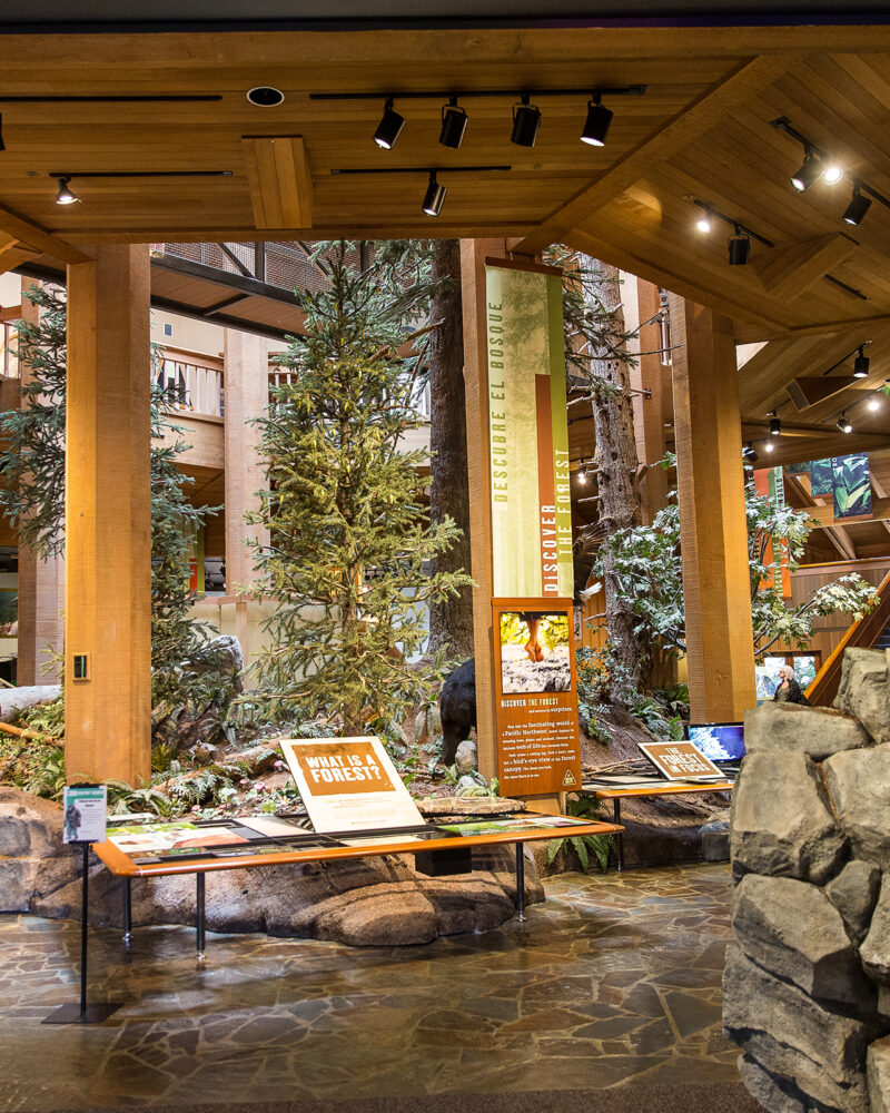 World Forestry Center Discovery Museum | The Official Guide to Portland